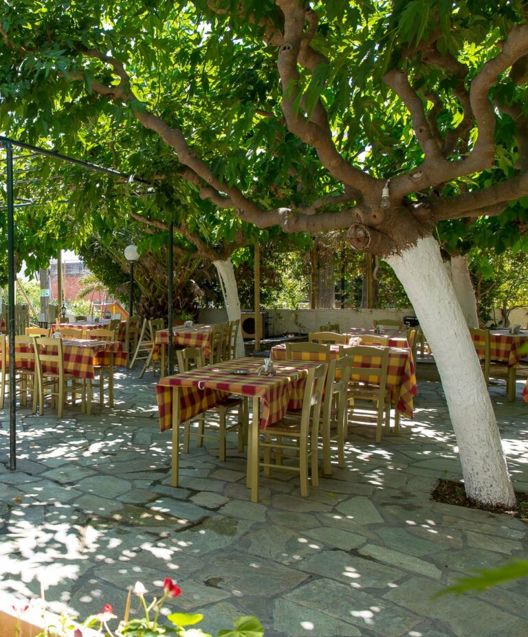 7 επιλογές για φαγητό στην Άνδρο | travel.gr