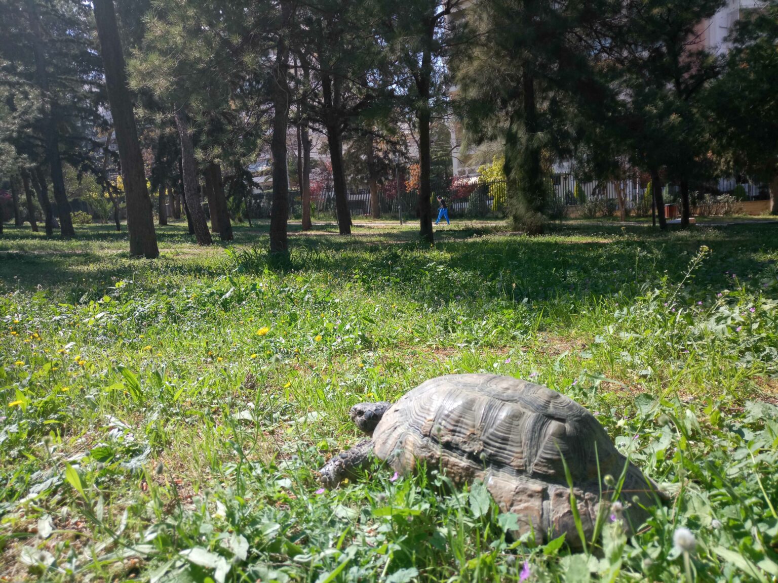 Νέα Σμύρνη, μια συνοικία με ιδιαίτερο χαρακτήρα | travel.gr
