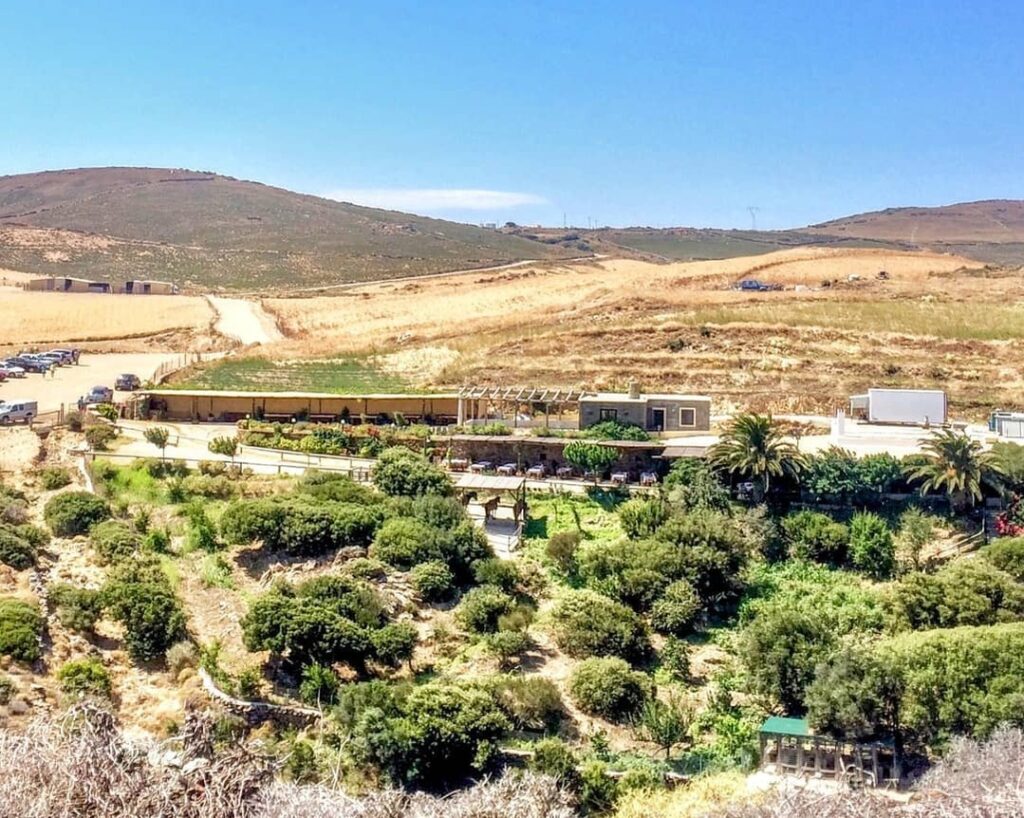 10 Best Places to Eat in Andros Now | travel.gr