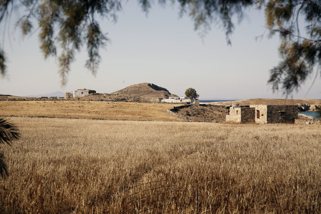 Ρήνεια: Το μυστηριώδες και μαγευτικό Κυκλαδονήσι | travel.gr
