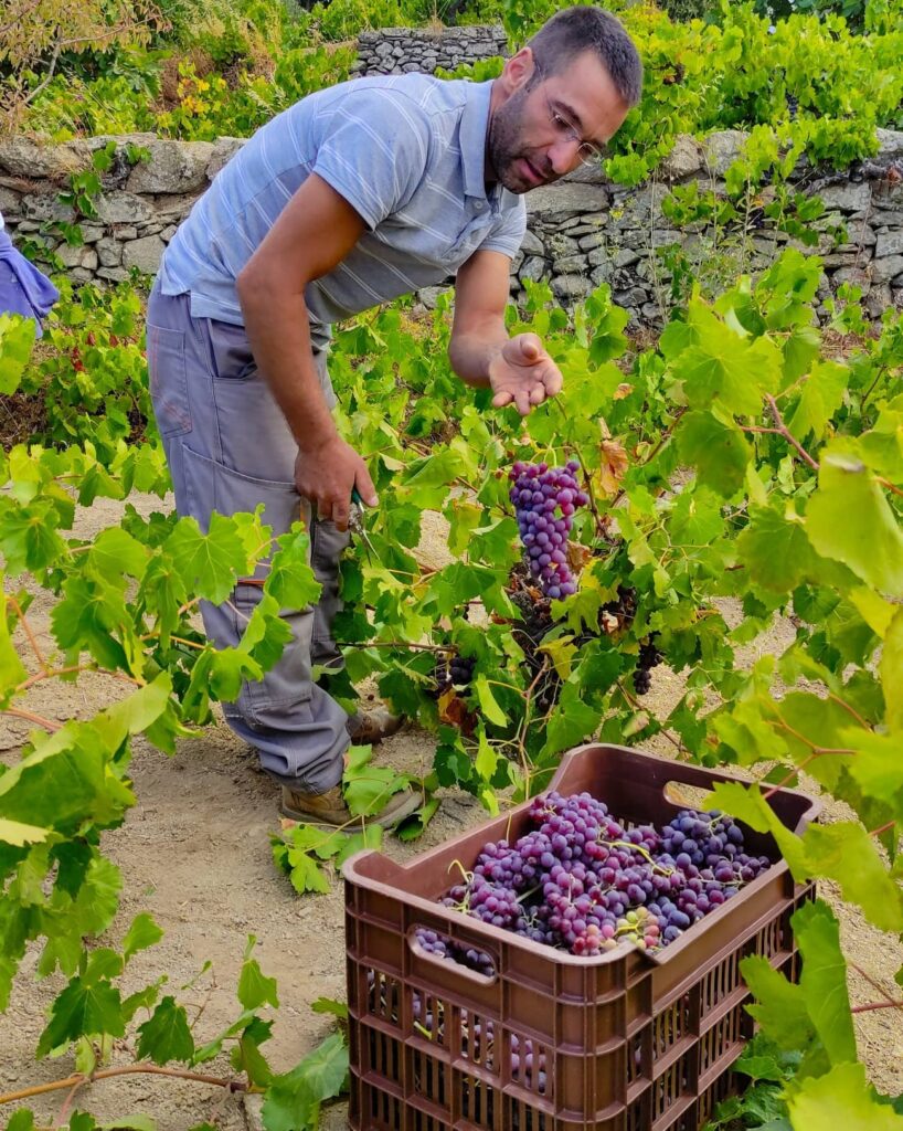 Ikaria: What 'People Who Forget to Die' Eat | travel.gr