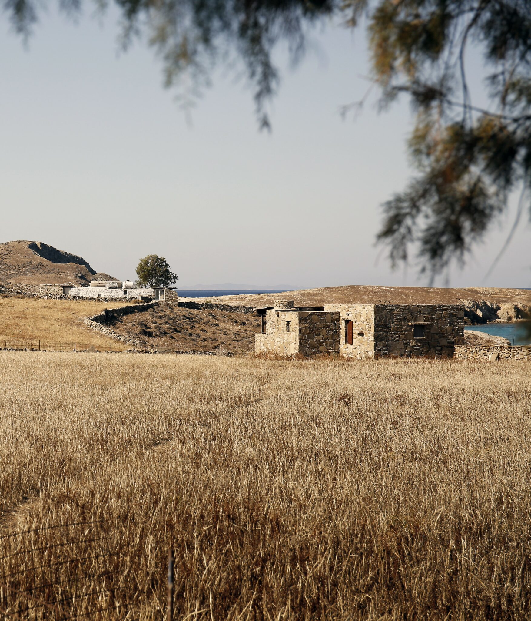 Δήλος: Ταξίδι στο ιερό νησί των αρχαίων Ελλήνων | travel.gr
