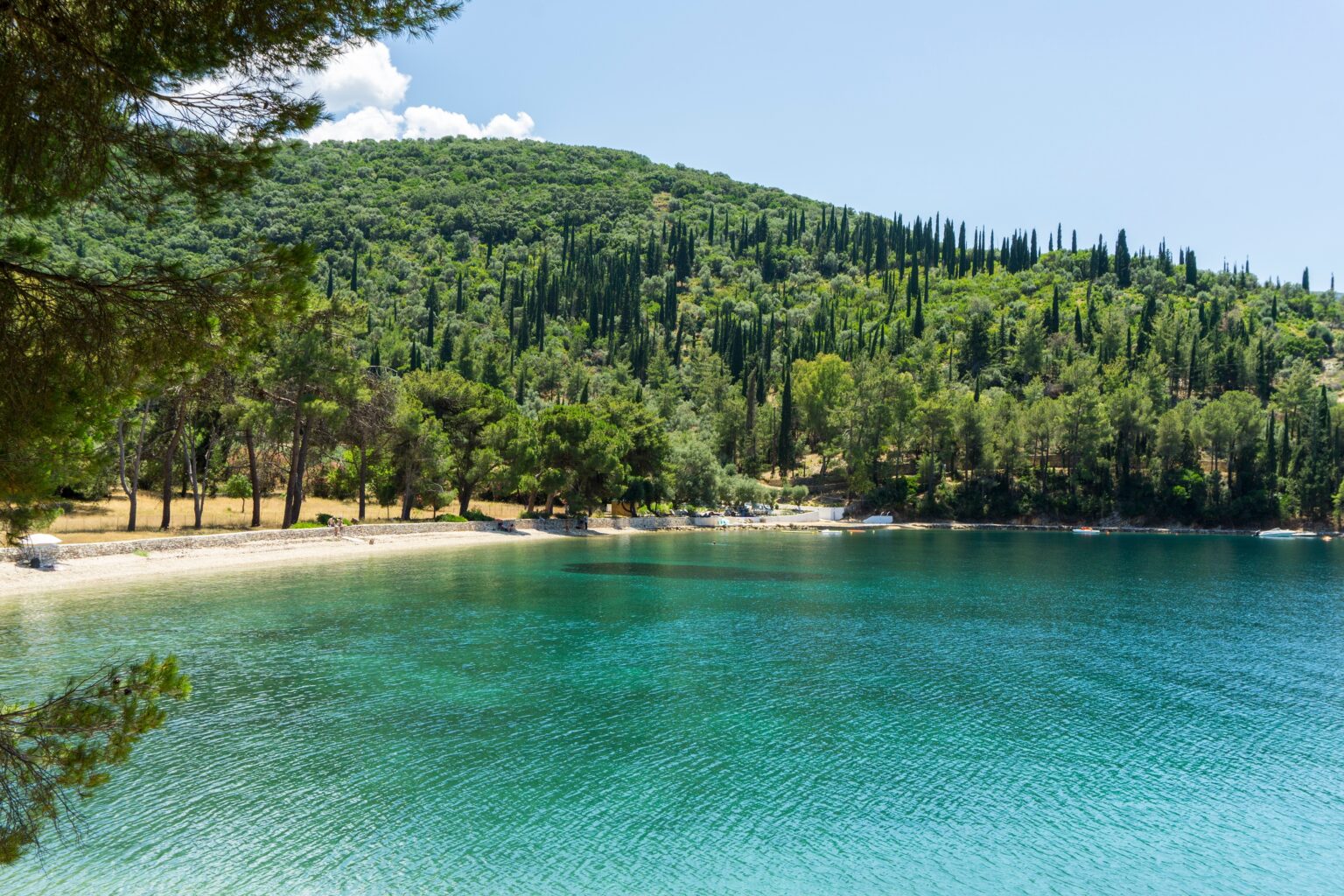 Οι παραλίες της Μαγνησίας με τα πεύκα που «βουτάνε» στη θάλασσα ...