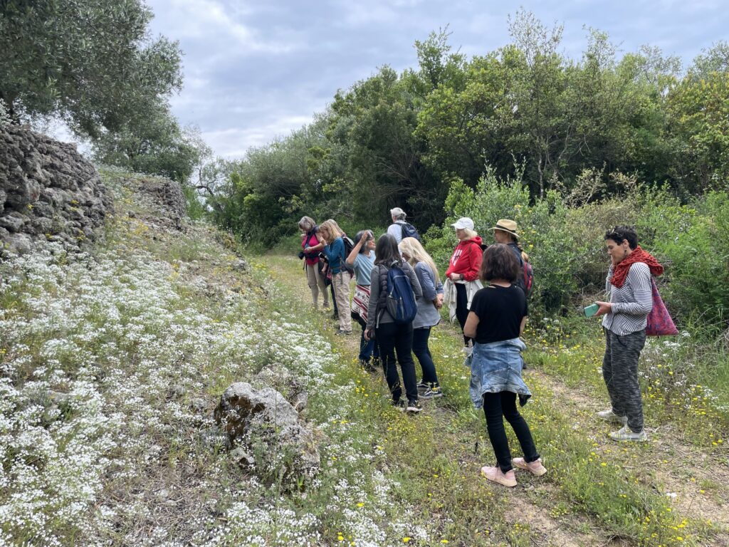 Βοτανικές εξορμήσεις στο νησί των Φαιάκων | travel.gr