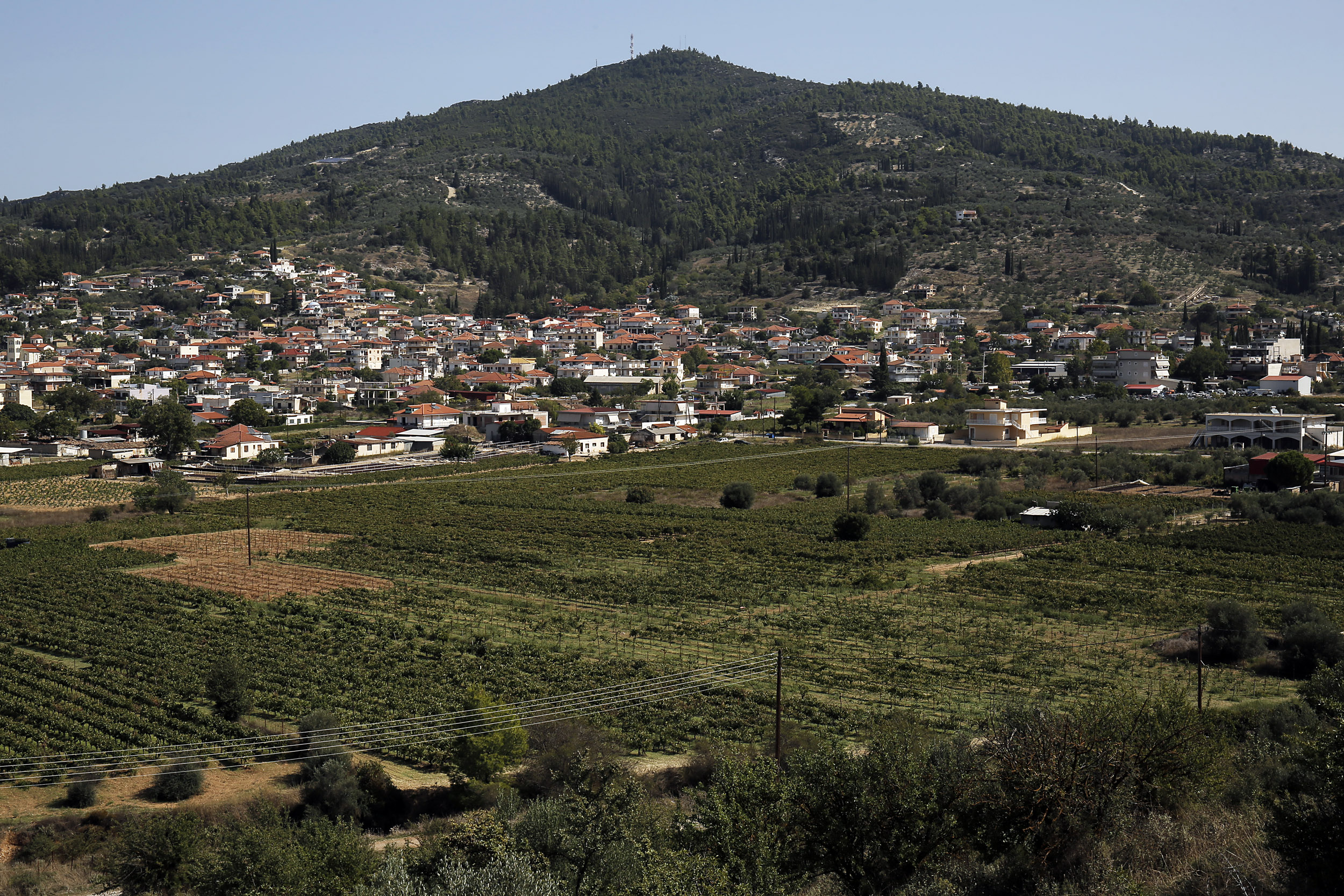 Οδοιπορικό στη Νεμέα| travel.gr