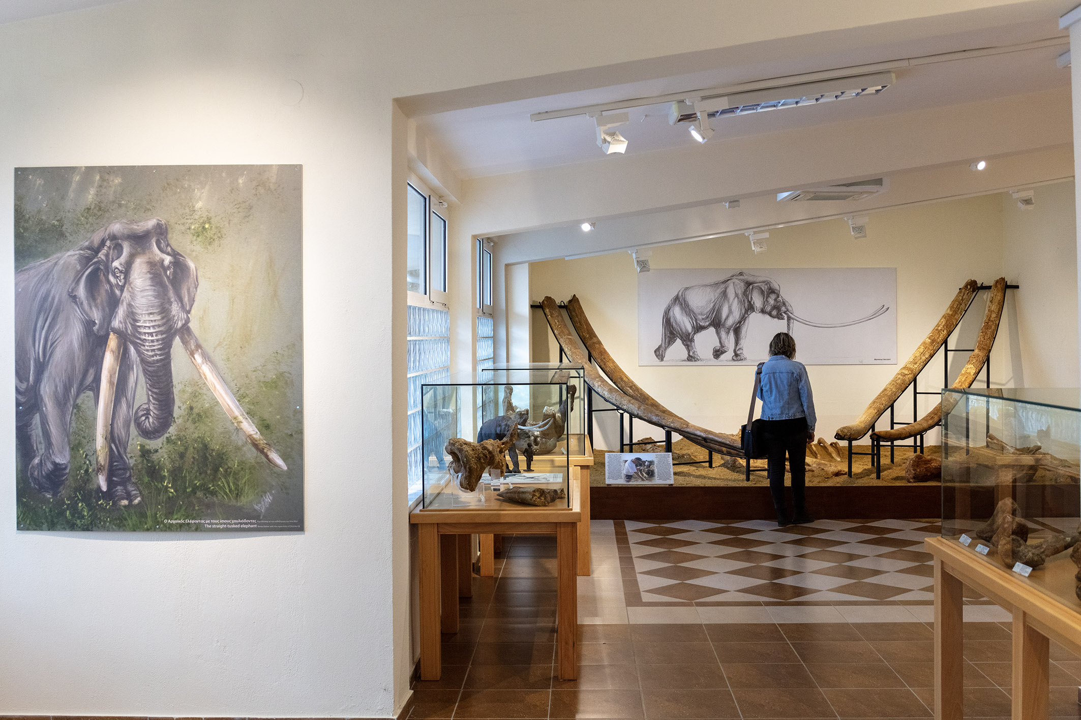 In the Footsteps of the Elephants of Western Macedonia | travel.gr
