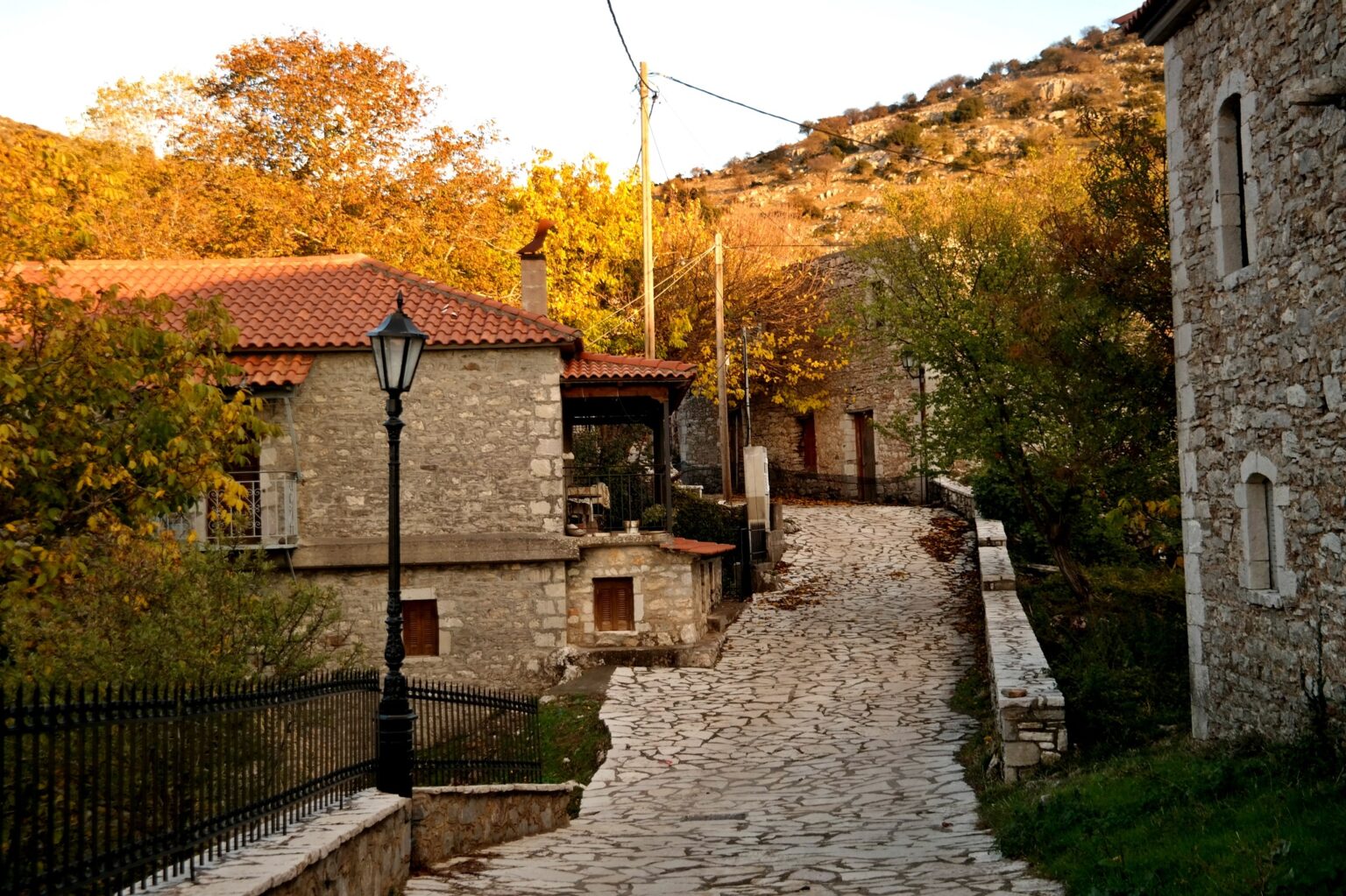 Βλόγγος «μπαλκόνι» Πελοποννήσου δάσος καρυδιών | travel.gr