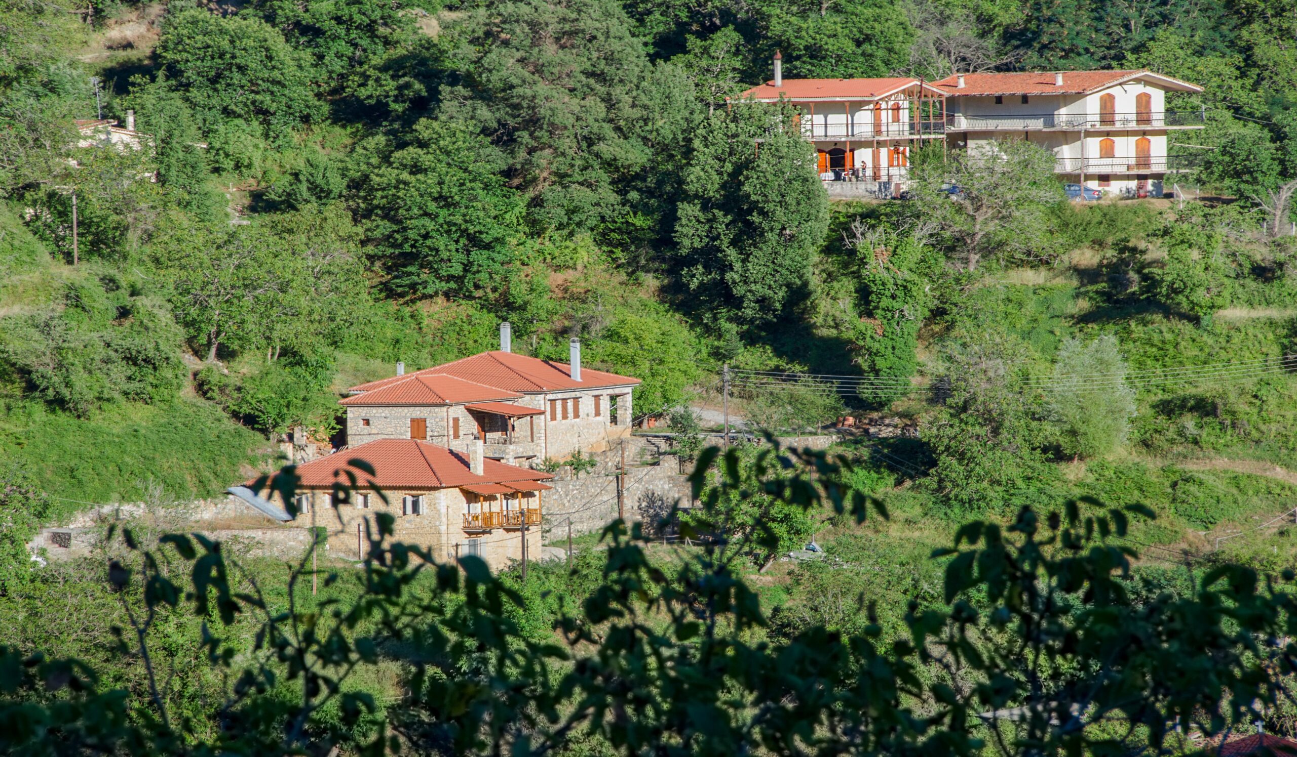 Σαββατοκύριακο στη Ζαρούχλα: χωριό κρυμμένο έλατα | travel.gr