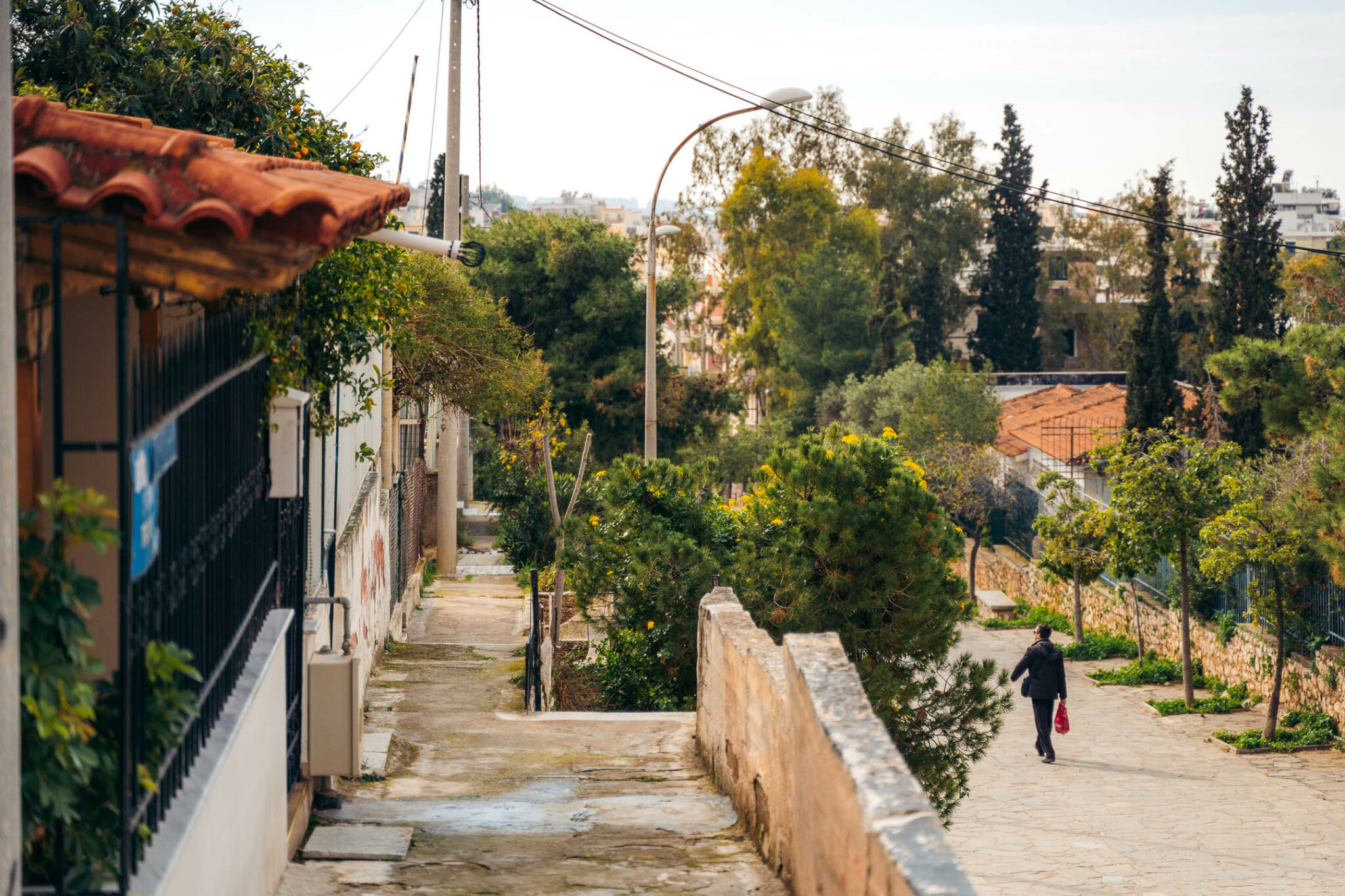 Petralona: A Journey into the Heart of Athens' Folk Culture | travel.gr