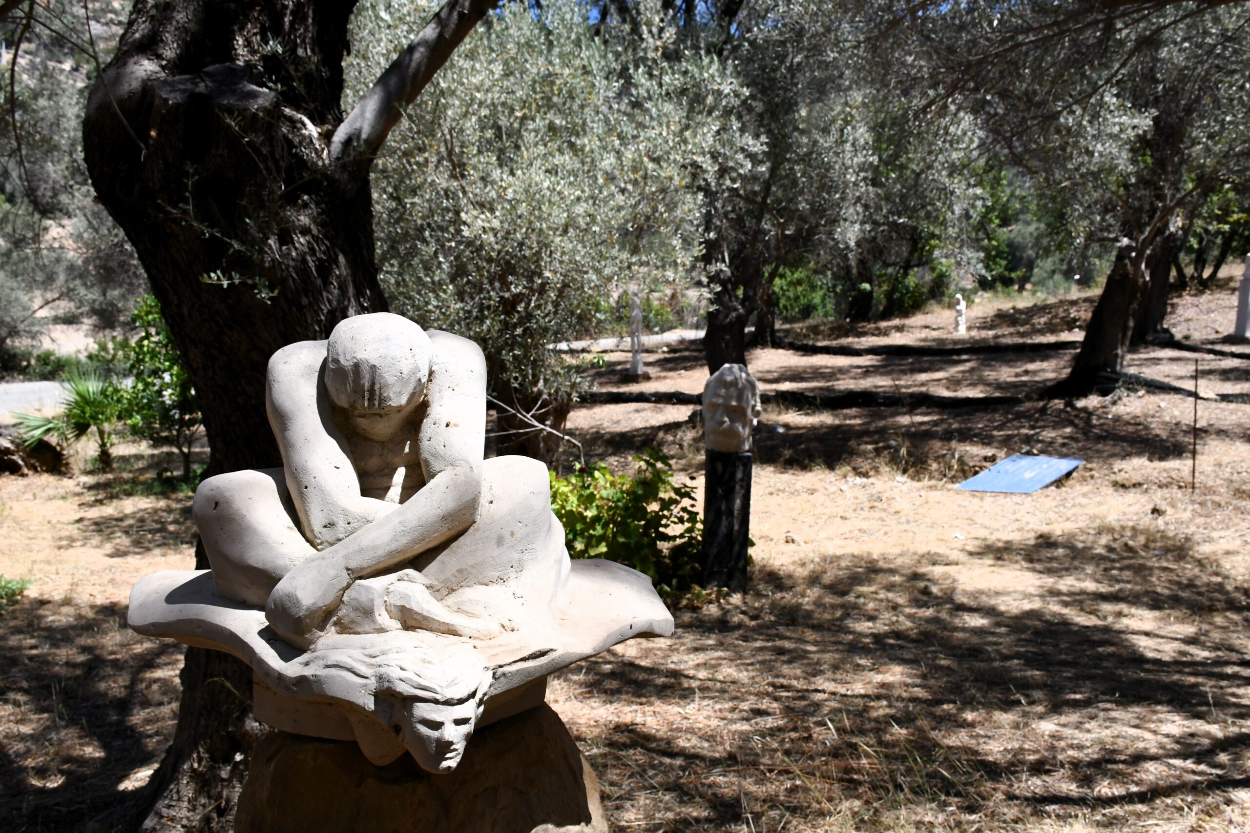 Στον ελαιώνα με τα αγάλματα στην Παλαιοχώρα | travel.gr