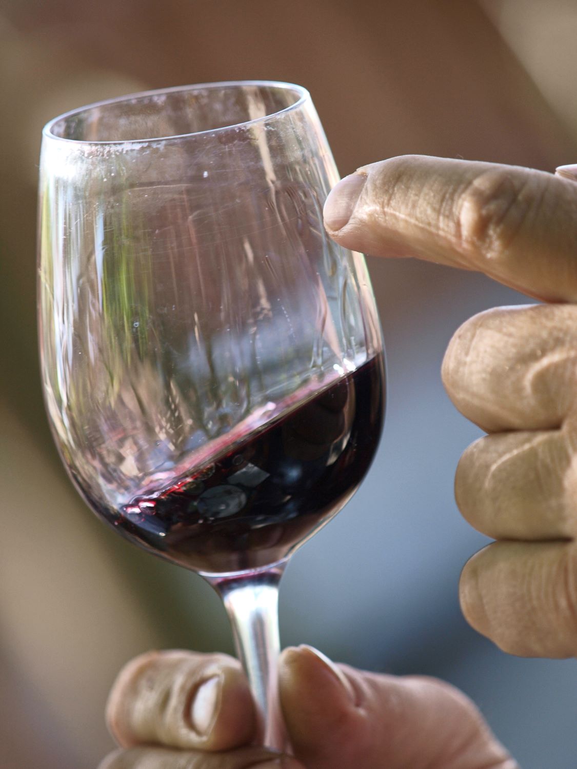 Το κρασί και η πρωτοχρονιάτικη πίτα ζωής Ολύμπου Πιερίων | travel.gr