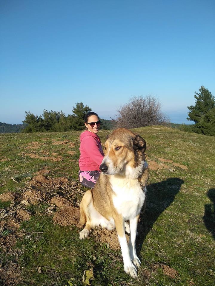 Ζώντας off the grid στην κεντρική Εύβοια | travel.gr