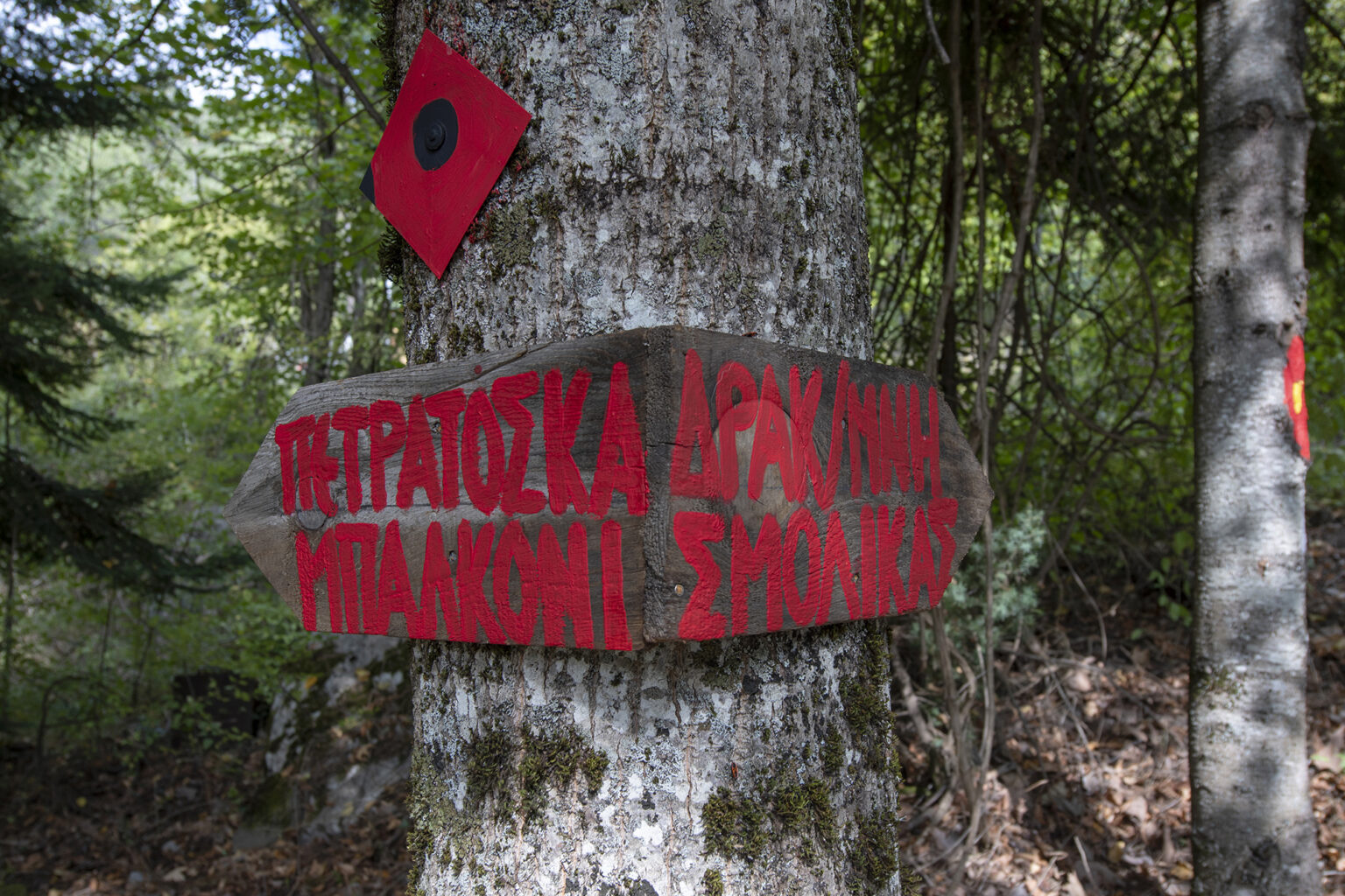Σμόλικας: Διαδρομές στο δεύτερο μεγαλύτερο βουνό της Ελλάδας travel.gr
