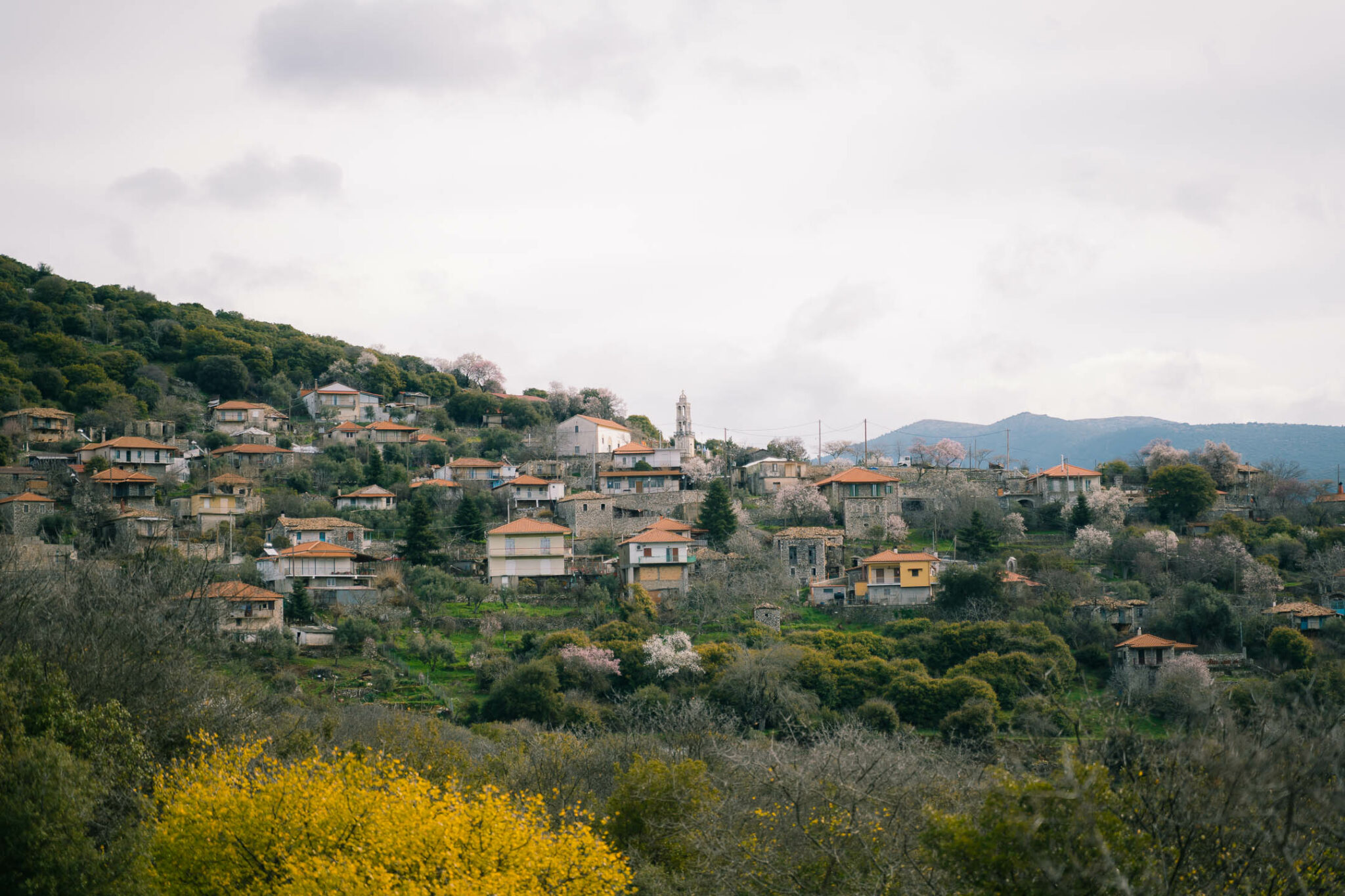 Στεμνίτσα - Παύλια - Μαγούλιανα: Ταξίδι στην ορεινή Αρκαδία| travel.gr