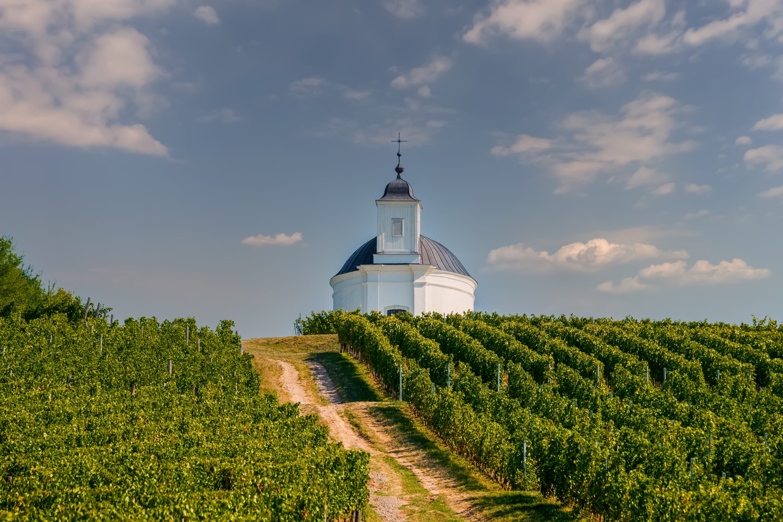Tokaj wine region: οινοπαραγωγική περιοχή Ουγγαρίας Unesco | travel.gr