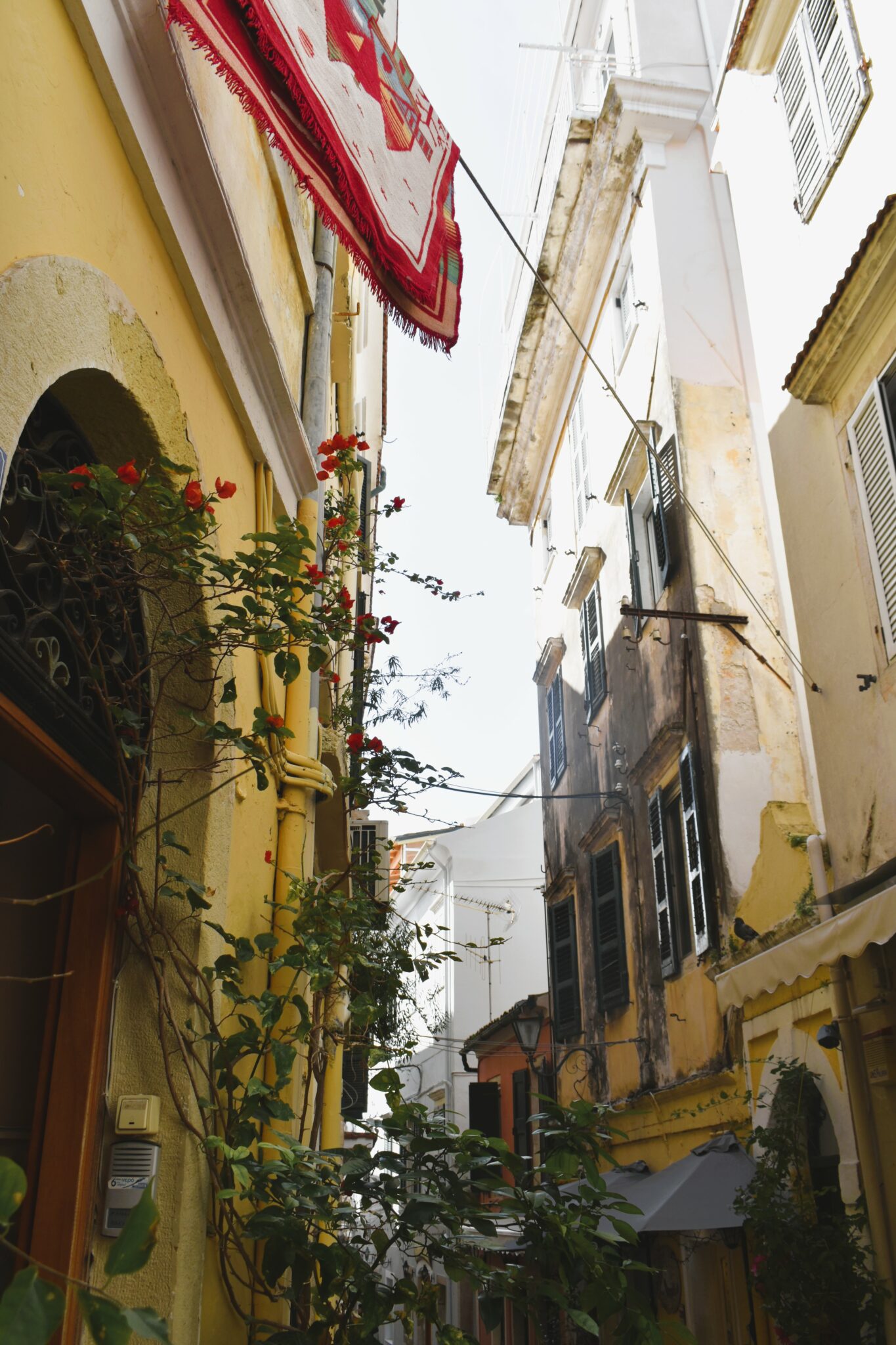 Στο Καντούνι του Μπίζη στην Κέρκυρα | travel.gr