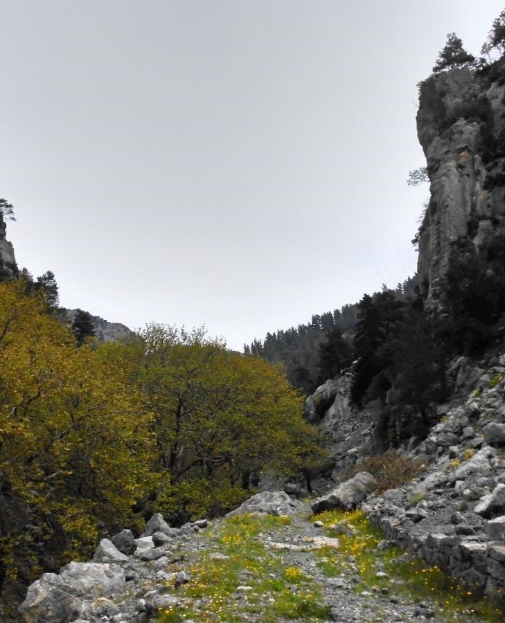 Στο Φαράγγι της Αγάλης, 1,5 ώρα από την Αθήνα | travel.gr