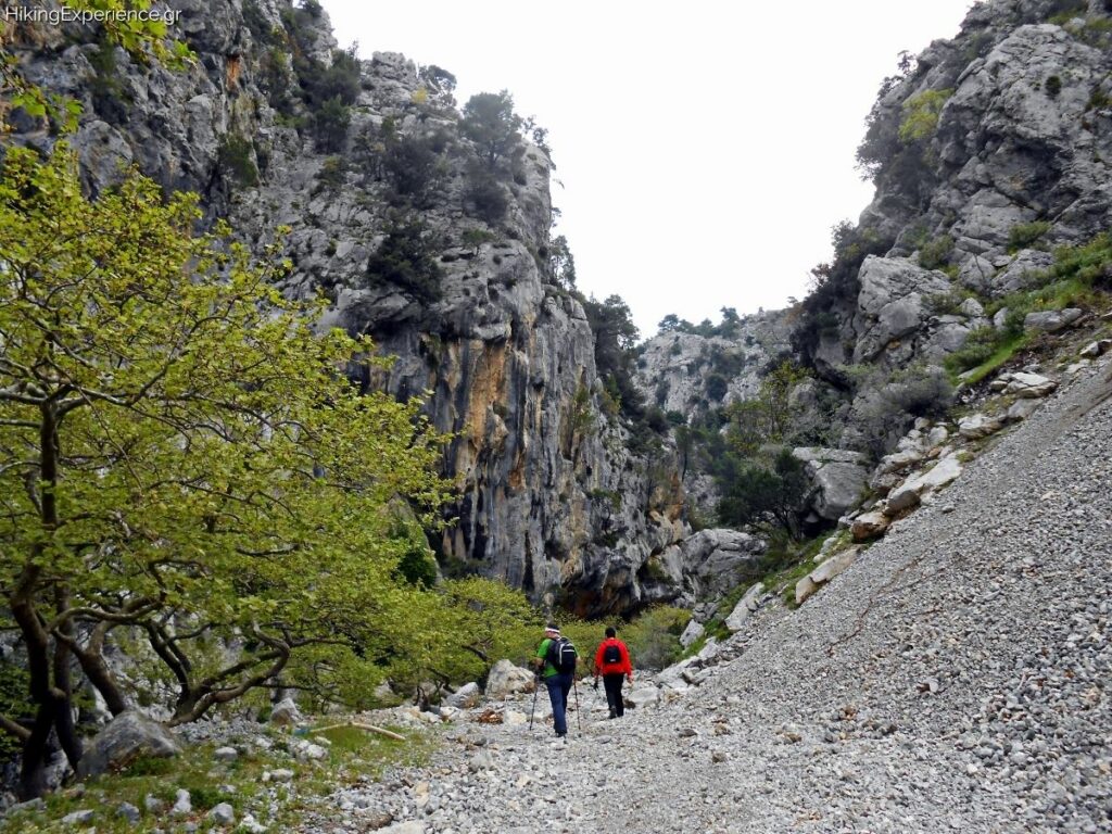 Στο Φαράγγι της Αγάλης, 1,5 ώρα από την Αθήνα | travel.gr