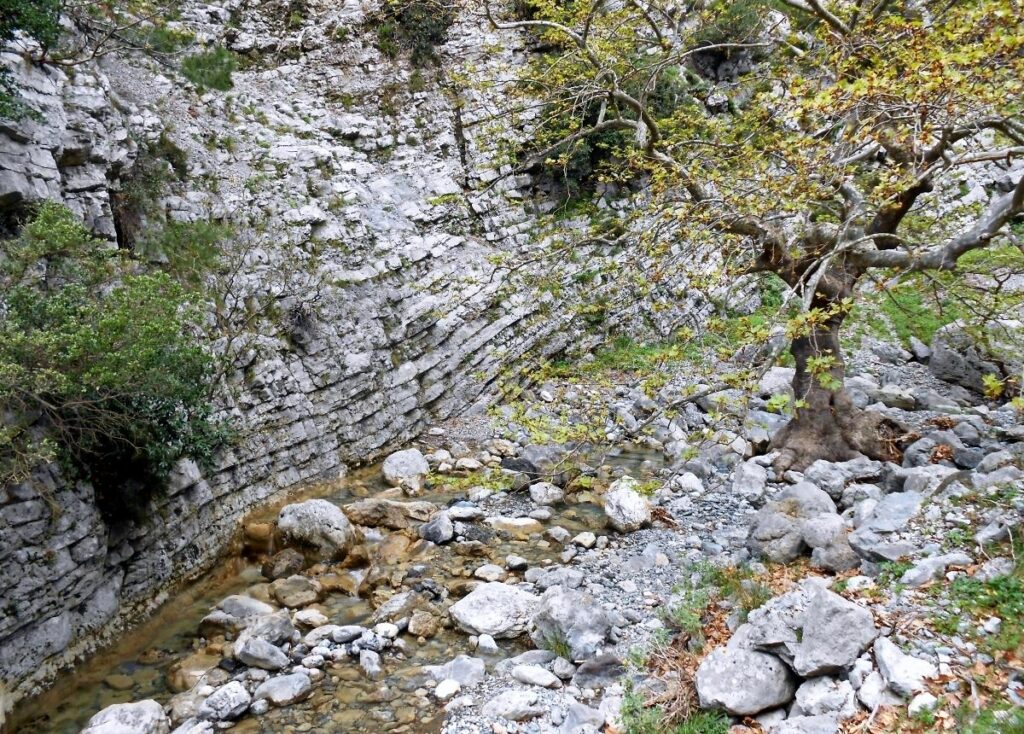 Στο Φαράγγι της Αγάλης, 1,5 ώρα από την Αθήνα | travel.gr