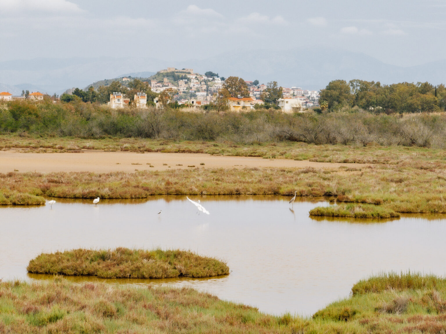 Undiscovered Gems: Refreshing Springs and Moustos Wetlands | travel.gr