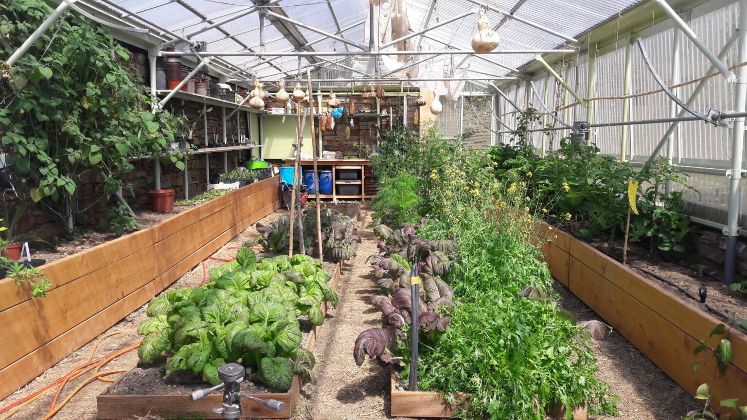 Ένα ζευγάρι έφτιαξε ένα κτήμα -πρότυπο στην Τήνο | travel.gr