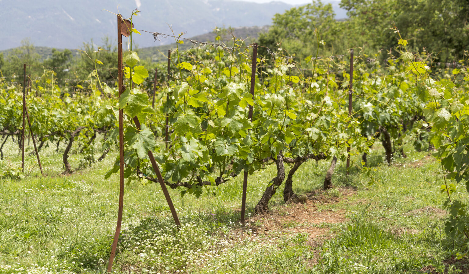 Ζίτσα, ένας προορισμός για όλο τον χρόνο | travel.gr