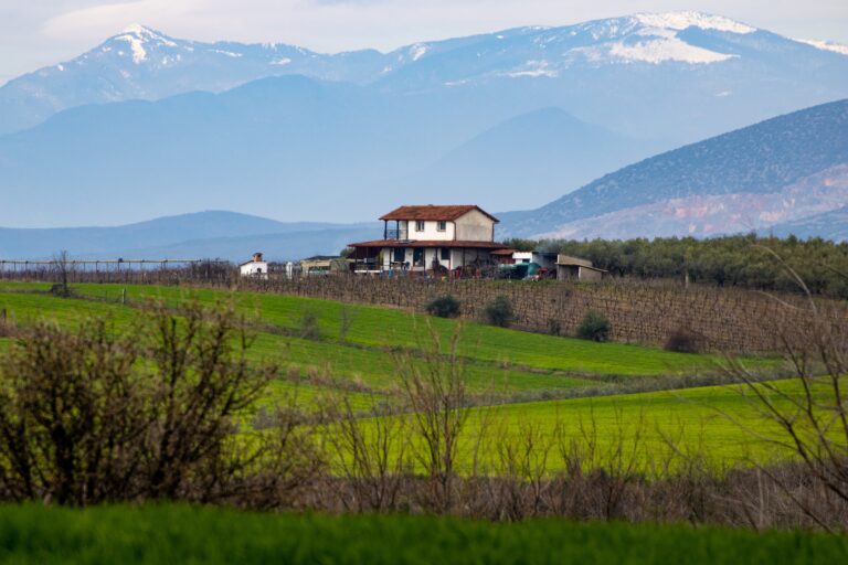 Γιαννιτσά: Μια πόλη με ιστορία που αποκαλύπτεται | travel.gr