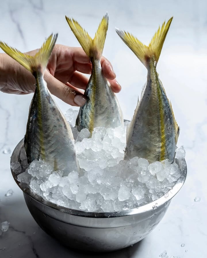 Best Places to Eat in Athens' Kolonaki Now | travel.gr