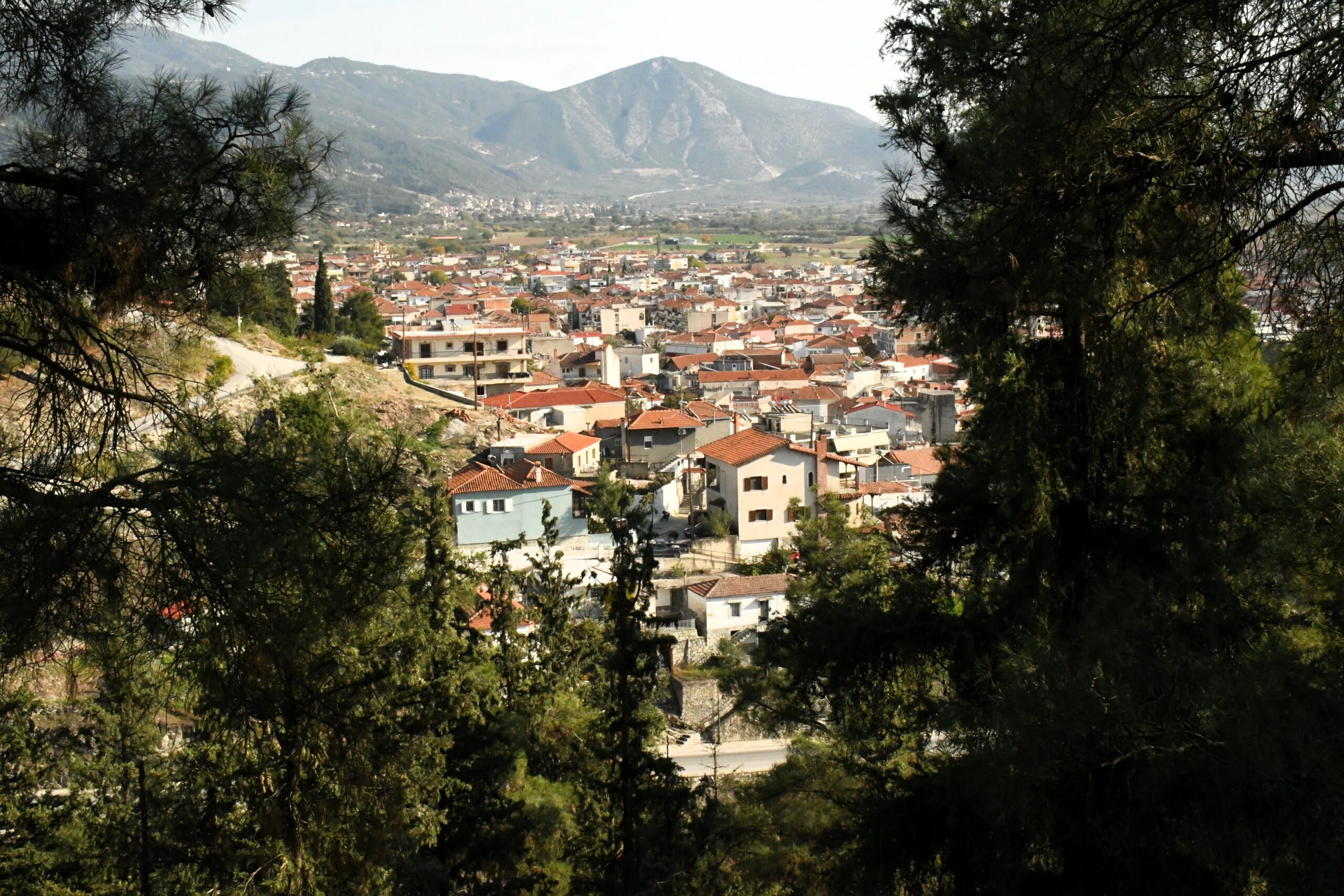 Ελασσόνα : Ιστορία, παράδοση και γαστρονομία