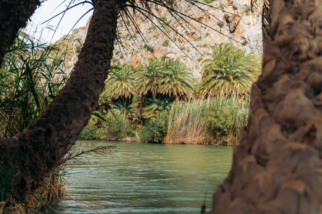 Crete’s Coastal Wonders: The 12 Beaches Not to Miss | travel.gr