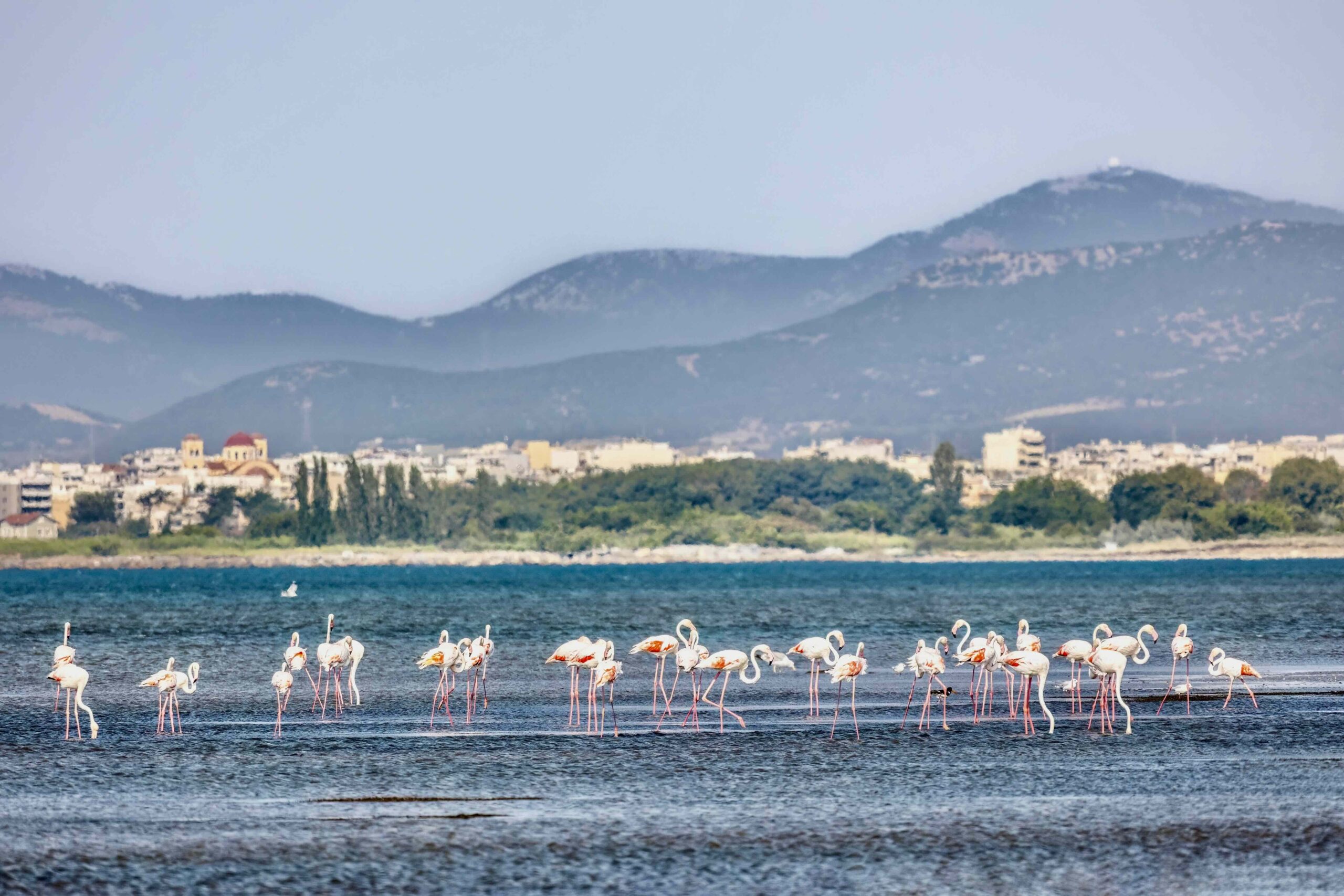 Alexandroupoli in November: A Place of Fascinating Contrasts | travel.gr