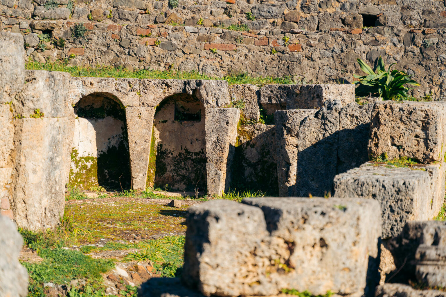 Οι κορυφαίες εμπειρίες στο Μαίναλο -Απόδραση στη Φύση της Αρκαδίας