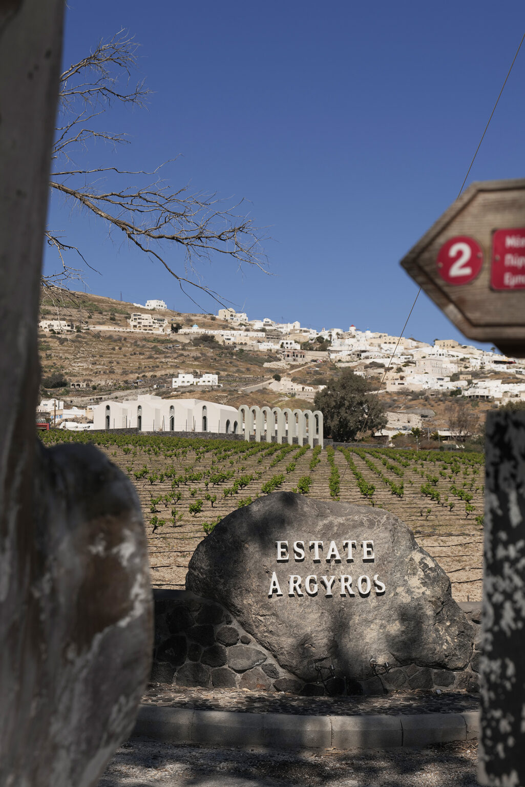 Santorini’s Iconic Top 5 Vineyards: Ash to Assyrtiko | Travel.gr/en