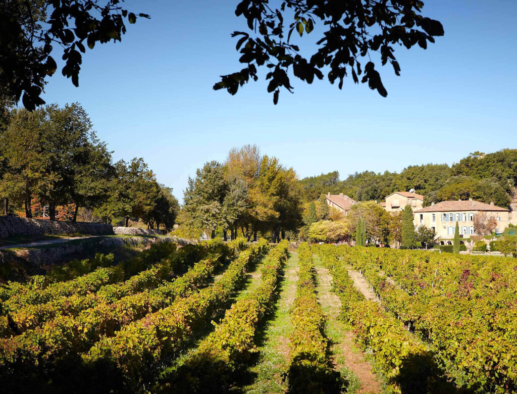 Château Miraval: Μπαίνοντας στο άδυτο του κρασιού του Μπραντ Πιτ