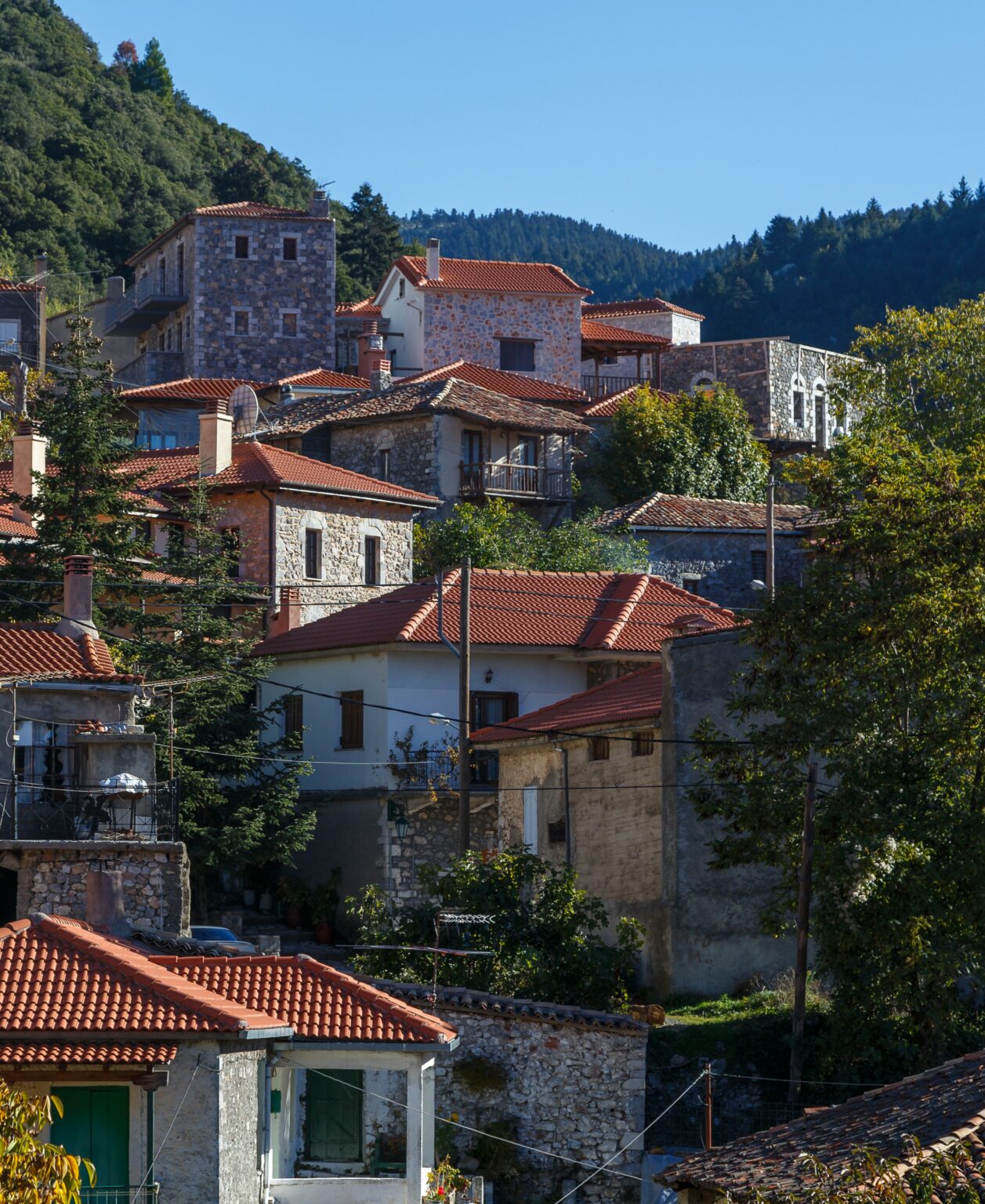 Στεμνίτσα: Το Αρχοντοχώρι της Αρκαδίας