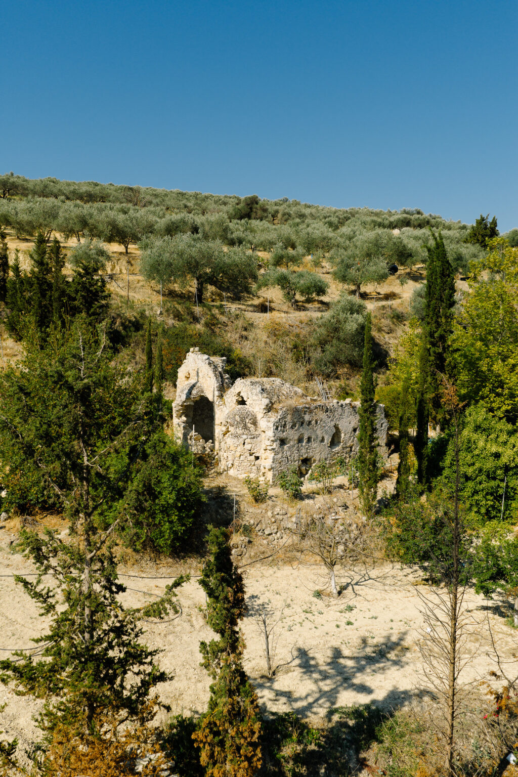 Driving Inland: Heraklion’s Myths, Vineyards and Minoan Past | Travel.gr/en