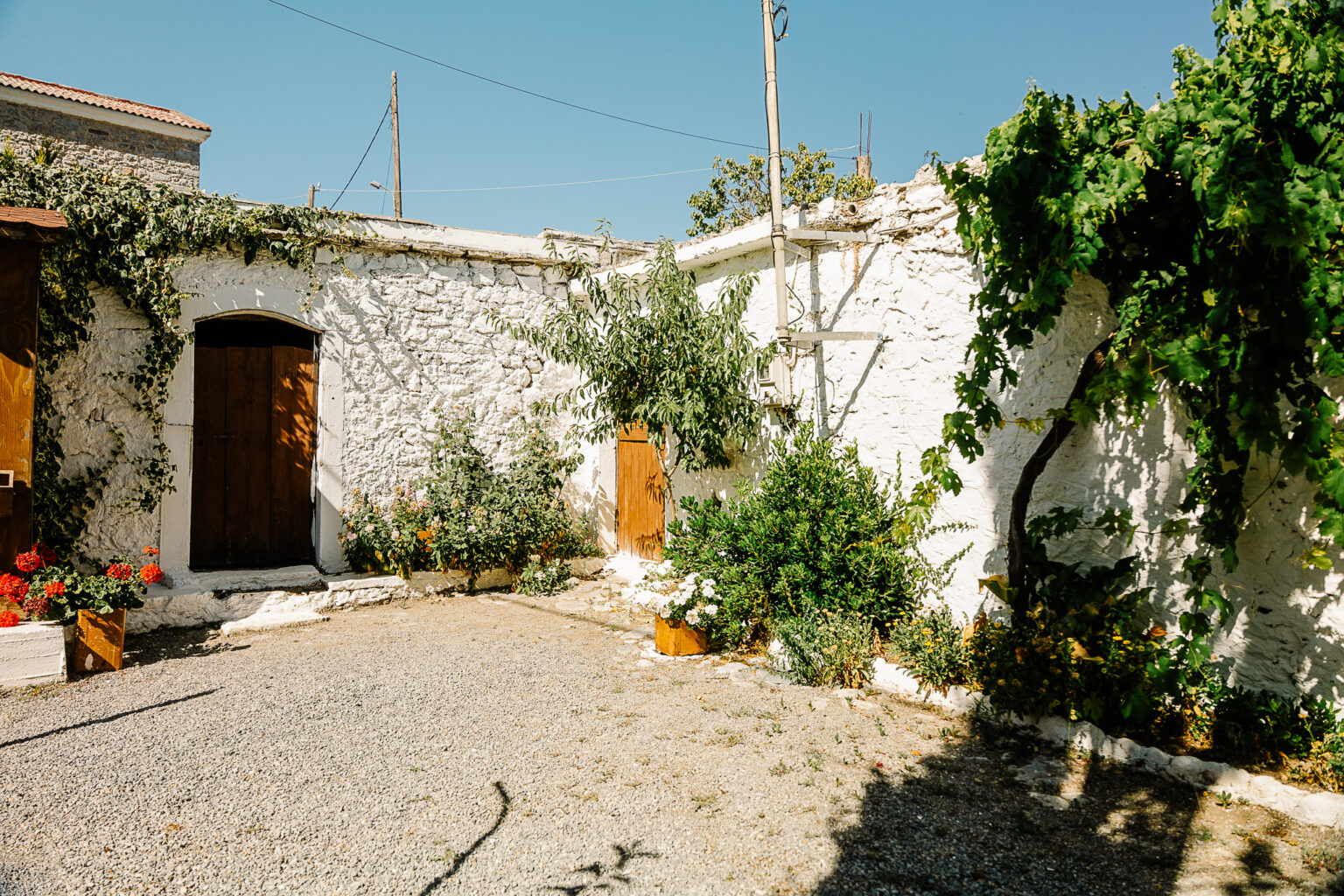 Road Trip on the Lasithi Plateau | Travel.gr/en