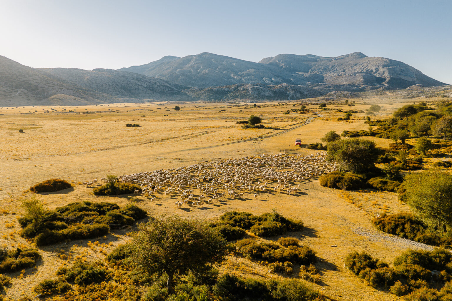 Road trip στον Ψηλορείτη: Από τις Μαργαρίτες ως το Ιδαίον Άντρον ...