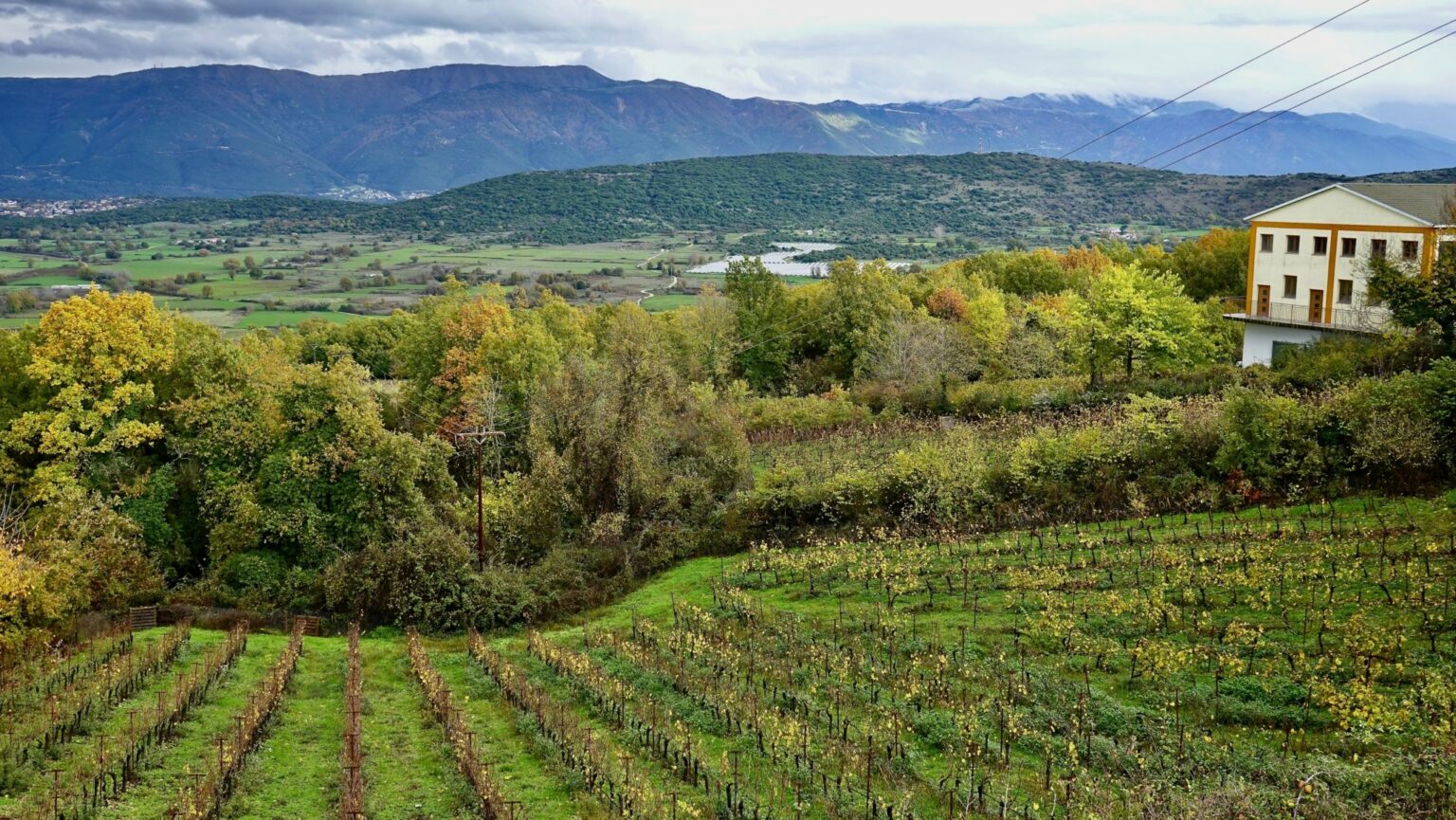 The Greek Wine Village You’ve Never Heard of - But Should Visit Now ...